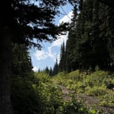 Mount Haig Lake Trail, Alberta, Canada - 403 Reviews, Map | AllTrails