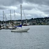 Cheshiahud Lake Union Loop, Washington - 1,946 Reviews, Map | AllTrails