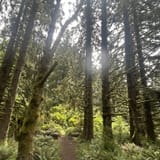 Clatsop Loop Trail from Indian Beach, Oregon - 3,103 Reviews, Map ...