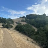 Edgewood Trail Loop, California - 2,678 Reviews, Map | AllTrails