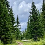 Trail Ridge Road, Colorado - 529 Reviews, Map | AllTrails