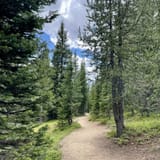 Trail Ridge Road, Colorado - 529 Reviews, Map | AllTrails