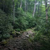 Mount Mitchell Trail to South Toe River Road Loop, North Carolina - 70 ...