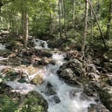 Rose River Trail, Virginia - 5,306 Reviews, Map | AllTrails