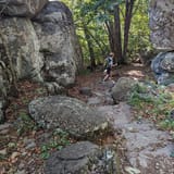 Sharp Top Trail, Virginia - 3,096 Reviews, Map | AllTrails