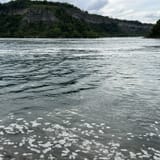 Whirlpool Trail, Ontario, Canada - 657 Reviews, Map | AllTrails