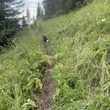 Raspberry Ridge Lookout, Alberta, Canada - 380 Reviews, Map | AllTrails