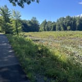 Windham Rail Trail, New Hampshire - 1,247 Reviews, Map | AllTrails