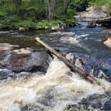 Wildcat Falls, New Hampshire - 2,266 Reviews, Map | AllTrails