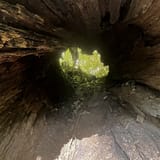 Stringers Ridge via Blue Trail, Tennessee - 2,106 Reviews, Map | AllTrails