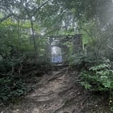 Stringers Ridge via Blue Trail, Tennessee - 2,106 Reviews, Map | AllTrails