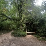 Stringers Ridge via Blue Trail, Tennessee - 2,106 Reviews, Map | AllTrails