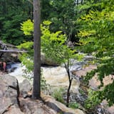 Wildcat Falls, New Hampshire - 2,266 Reviews, Map | AllTrails