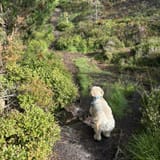 The Drake Stone and Harbottle Castle Circular, Northumberland, England ...