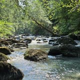 Boulder River Trail, Washington - 1,969 Reviews, Map | AllTrails