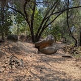 Dave Moore Nature Trail, California - 391 Reviews, Map | AllTrails