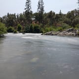 Dave Moore Nature Trail, California - 391 Reviews, Map | AllTrails