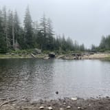 Barclay Lake Trail, Washington - 2,233 Reviews, Map | AllTrails