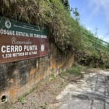 Cerro de Punta, Central Region, Puerto Rico - 129 Reviews, Map | AllTrails
