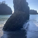 Secret Beach Trail, Oregon - 1,543 Reviews, Map | AllTrails