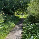 Chee Dale Gorge Circular, Derbyshire, England - 1,904 Reviews, Map ...