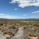Grimes Point Petroglyphs, Nevada - 71 Reviews, Map | AllTrails