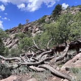 Fatmans Loop Trail, Arizona - 5,830 Reviews, Map | AllTrails