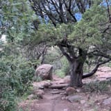 Fatmans Loop Trail, Arizona - 5,830 Reviews, Map | AllTrails