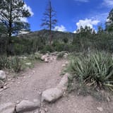Fatmans Loop Trail, Arizona - 5,830 Reviews, Map | AllTrails