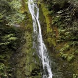 Madison Falls Trail, Washington - 1,930 Reviews, Map | AllTrails