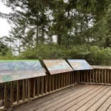 Primitive Trail Loop, Washington - 832 Reviews, Map | AllTrails