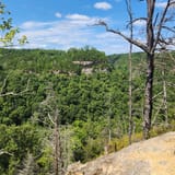 Sky Bridge Trail, Kentucky - 2,707 Reviews, Map | AllTrails