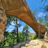 Sky Bridge Trail, Kentucky - 2,689 Reviews, Map | AllTrails