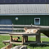 Kinder Farm Park Trail, Maryland - 1,194 Reviews, Map | AllTrails