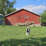 Kinder Farm Park Trail, Maryland - 1,238 Reviews, Map | AllTrails