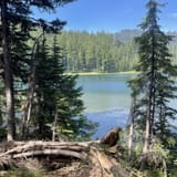 Todd Lake Loop, Oregon - 832 Reviews, Map | AllTrails
