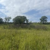 Konza Prairie Nature Trail Loop, Kansas - 487 Reviews, Map | AllTrails