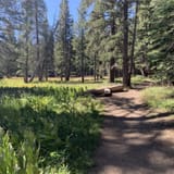 Big Meadow to Round Lake, California - 839 Reviews, Map | AllTrails