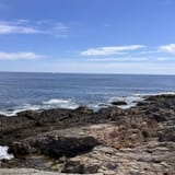 Marginal Way, Maine - 1,744 Reviews, Map | AllTrails