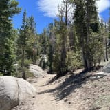Tamarack Peak Loop, Nevada - 1,083 Reviews, Map | AllTrails