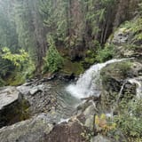 Cedar Falls Trail, Washington - 416 Reviews, Map | AllTrails