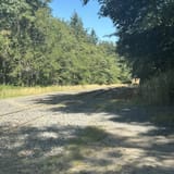 Japanese Gulch Loop Trail, Washington - 1,264 Reviews, Map | AllTrails