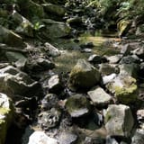 Japanese Gulch Loop Trail, Washington - 1,264 Reviews, Map | AllTrails