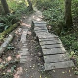 Japanese Gulch Loop Trail, Washington - 1,264 Reviews, Map | AllTrails