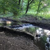 Beamish Park and Causey Arch Circular, County Durham, England - 447 ...