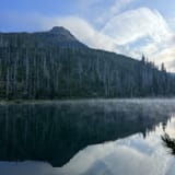Duffy Lake Trail, Oregon - 467 Reviews, Map | AllTrails