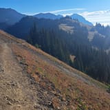 Mount Angeles via Hurricane Ridge Trail, Washington - 1,361 Reviews ...