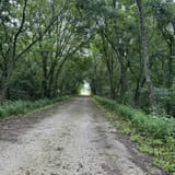 Flint Hills Nature Trail, Kansas - 249 Reviews, Map | AllTrails