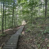 Goodnow Mountain Trail, New York - 1,440 Reviews, Map | AllTrails