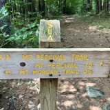 Mount Morgan and Mount Percival Loop, New Hampshire - 3,928 Reviews ...
